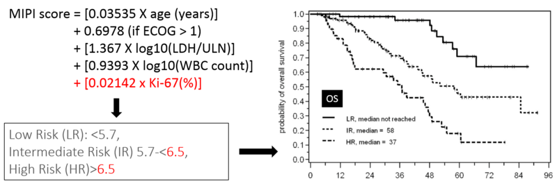 醫護人員版 | 淋巴癌攻略